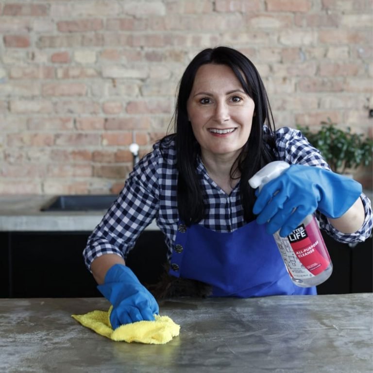 Pro-House Cleaning – Cleaning Service